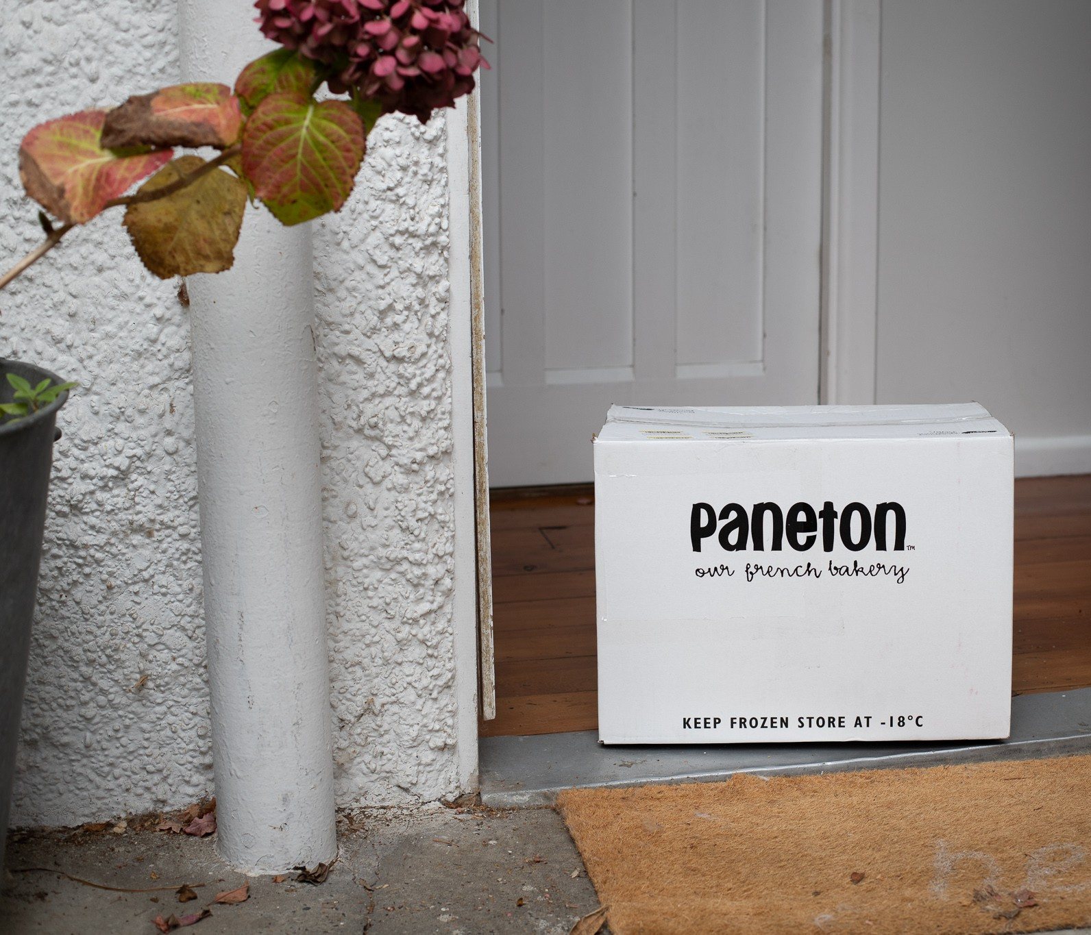 Paneton - Our French Bakery - Paneton Bakery